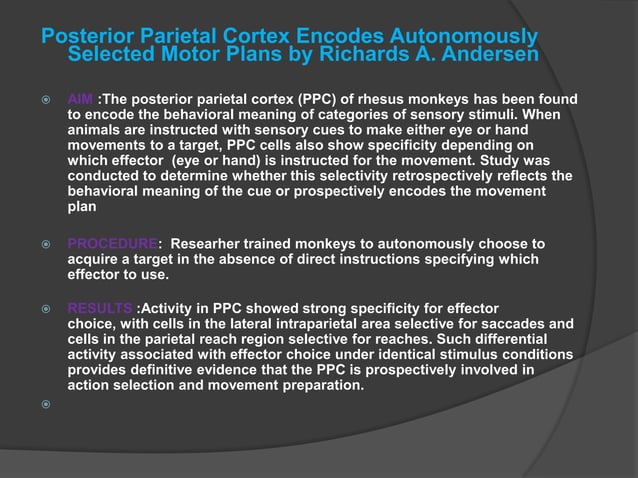Posterior Parietal Cortex! | PPT