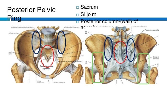Posterior pelvic ring injury