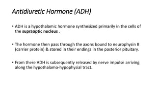 Posterior pituitary | PPTX