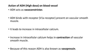 Posterior pituitary | PPTX