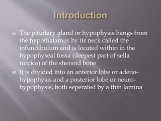 Posterior pituitary gland | PPTX