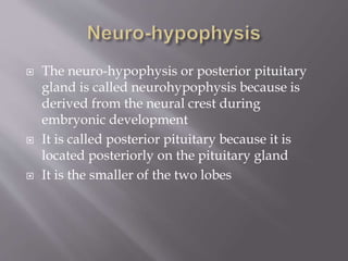 Posterior pituitary gland | PPTX