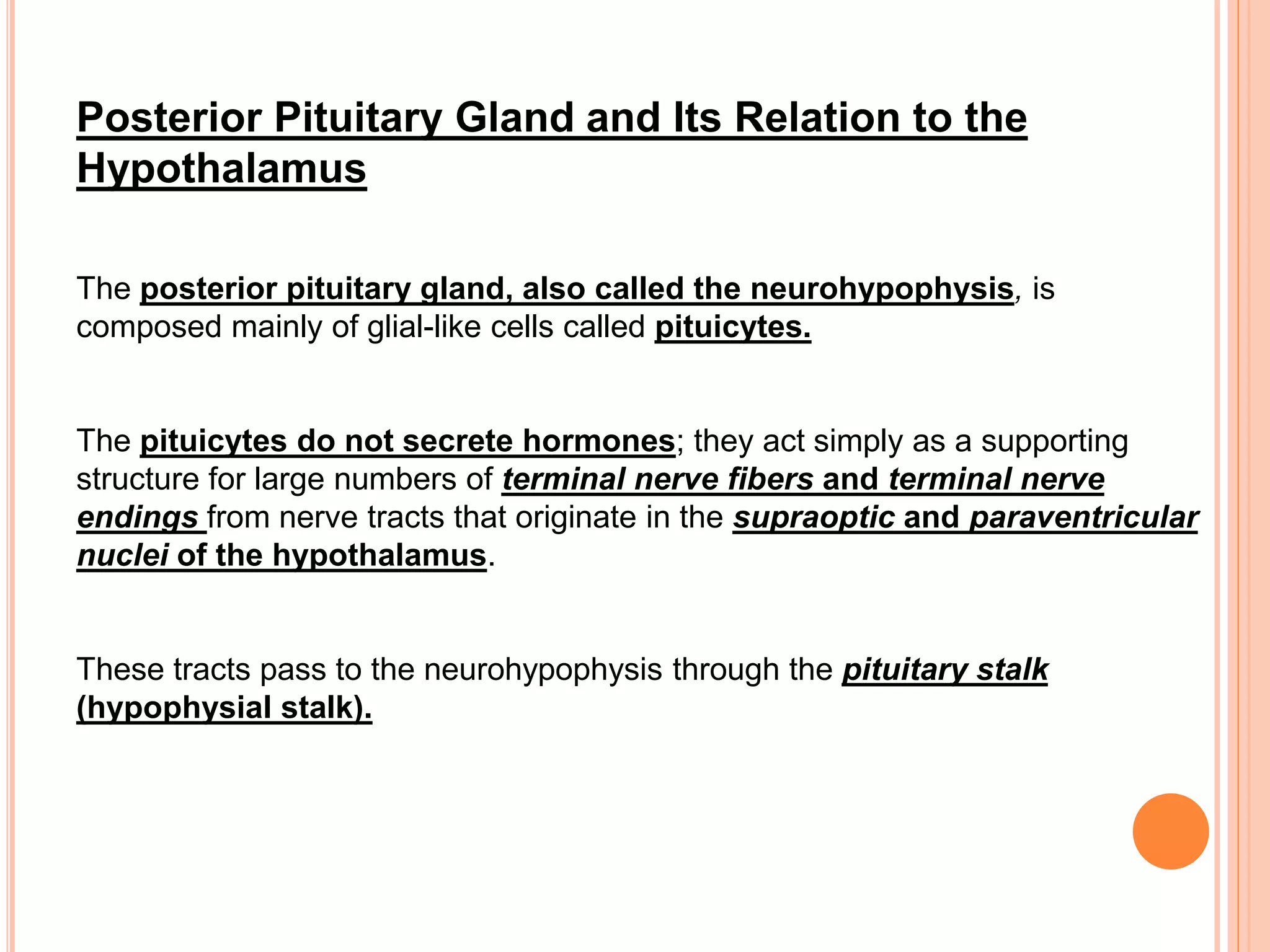 POSTERIOR PITUITARY GLAND.pptx | Hormonal Disorders | Endocrine and ...