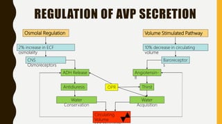 Posterior pituitary hormones | PPTX