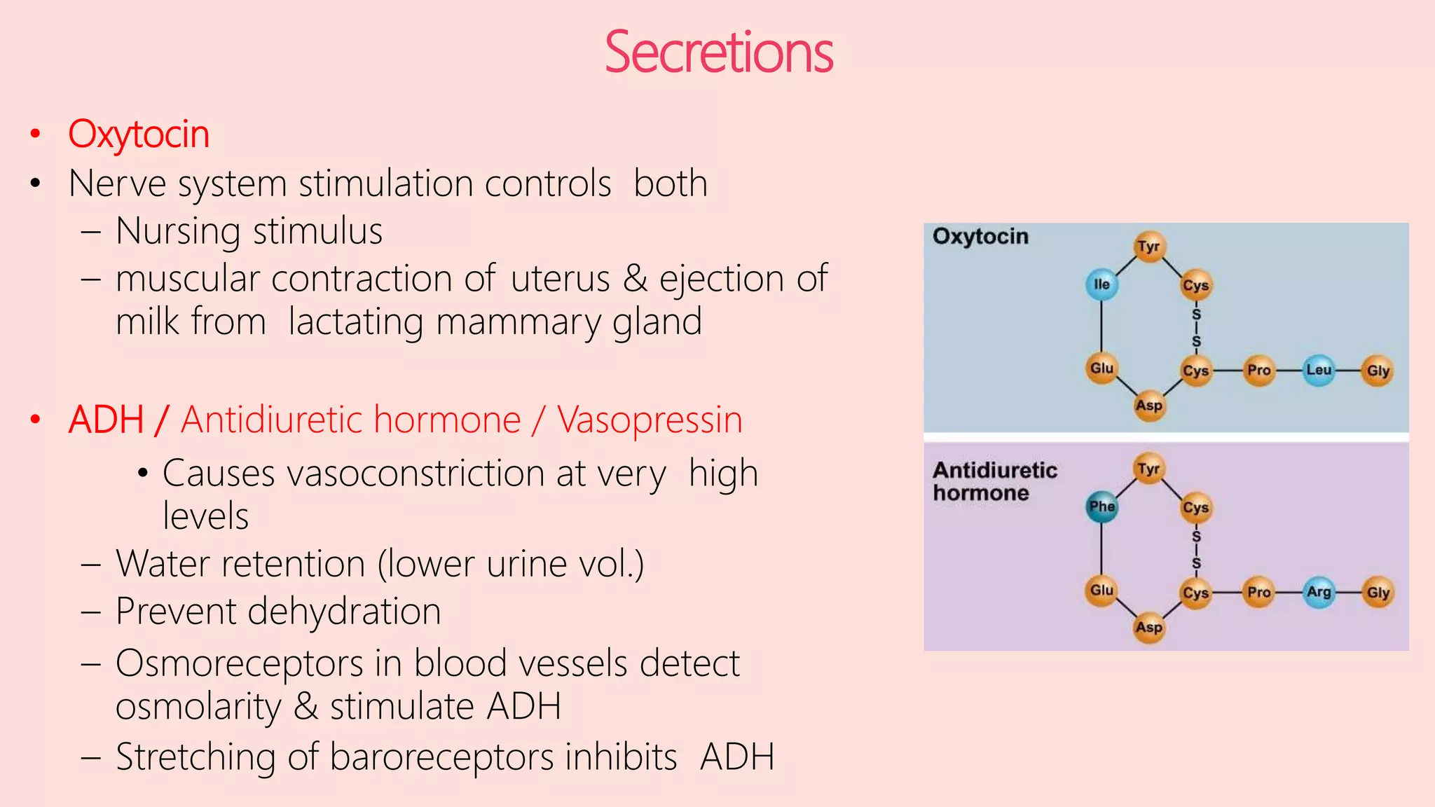 Posterior pituitary hormones | PPTX