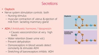 Posterior pituitary hormones | PPTX