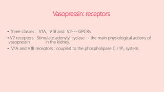 Posterior pituitary hormones | PPTX