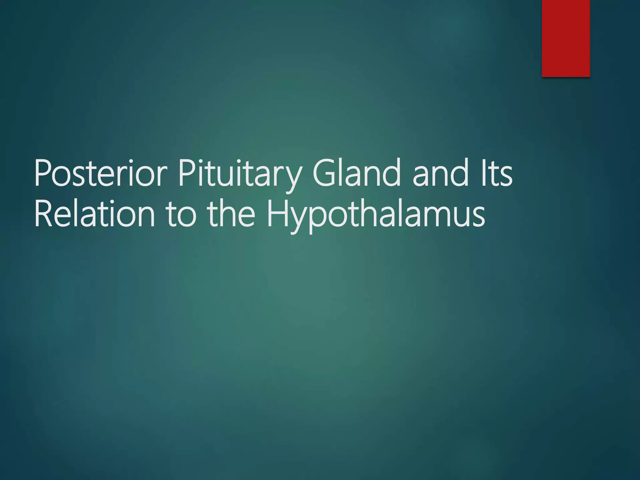 Posterior pitutary | PPTX