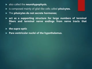 Posterior pitutary | PPTX