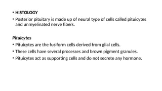 POSTERIOR PITUTARY HORMONES AND THEIR ACTIONS [Autosaved].pptx