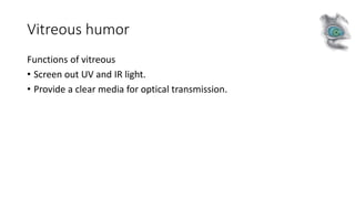 Posterior segment of eye.pdf
