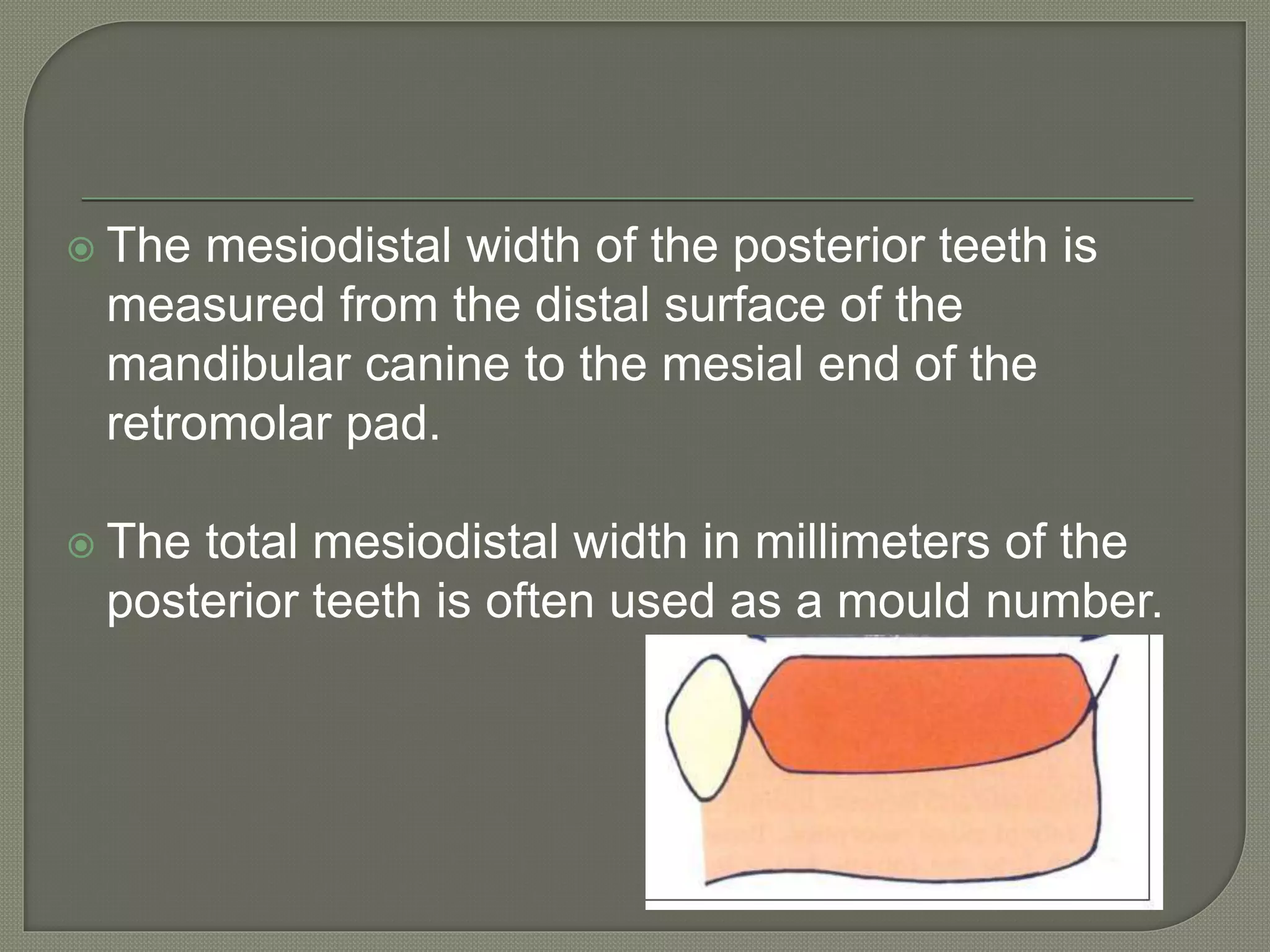 Posterior Teeth Selection in Complete Denture | PPT