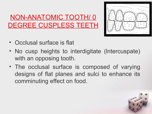 posterior tooth form powerpoint presentation | PPT
