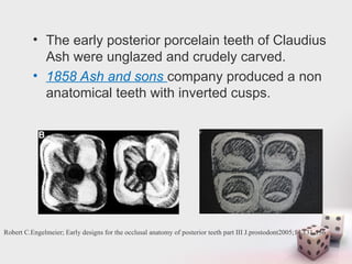 posterior tooth form.ppt