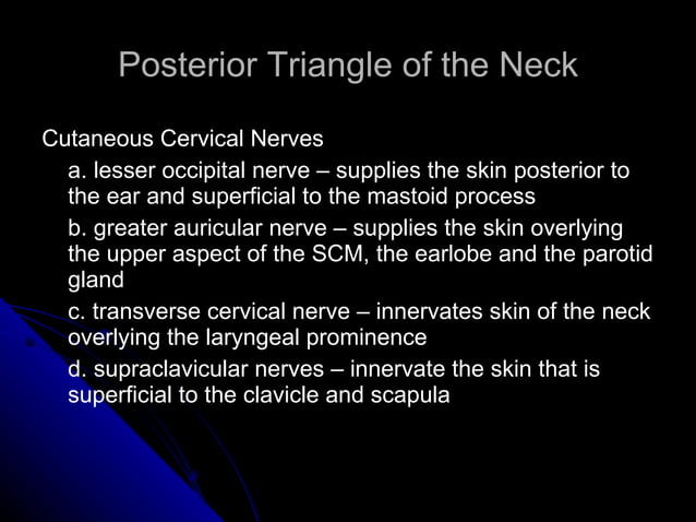 Posterior triangle | PPT