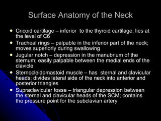 Posterior triangle | PPT