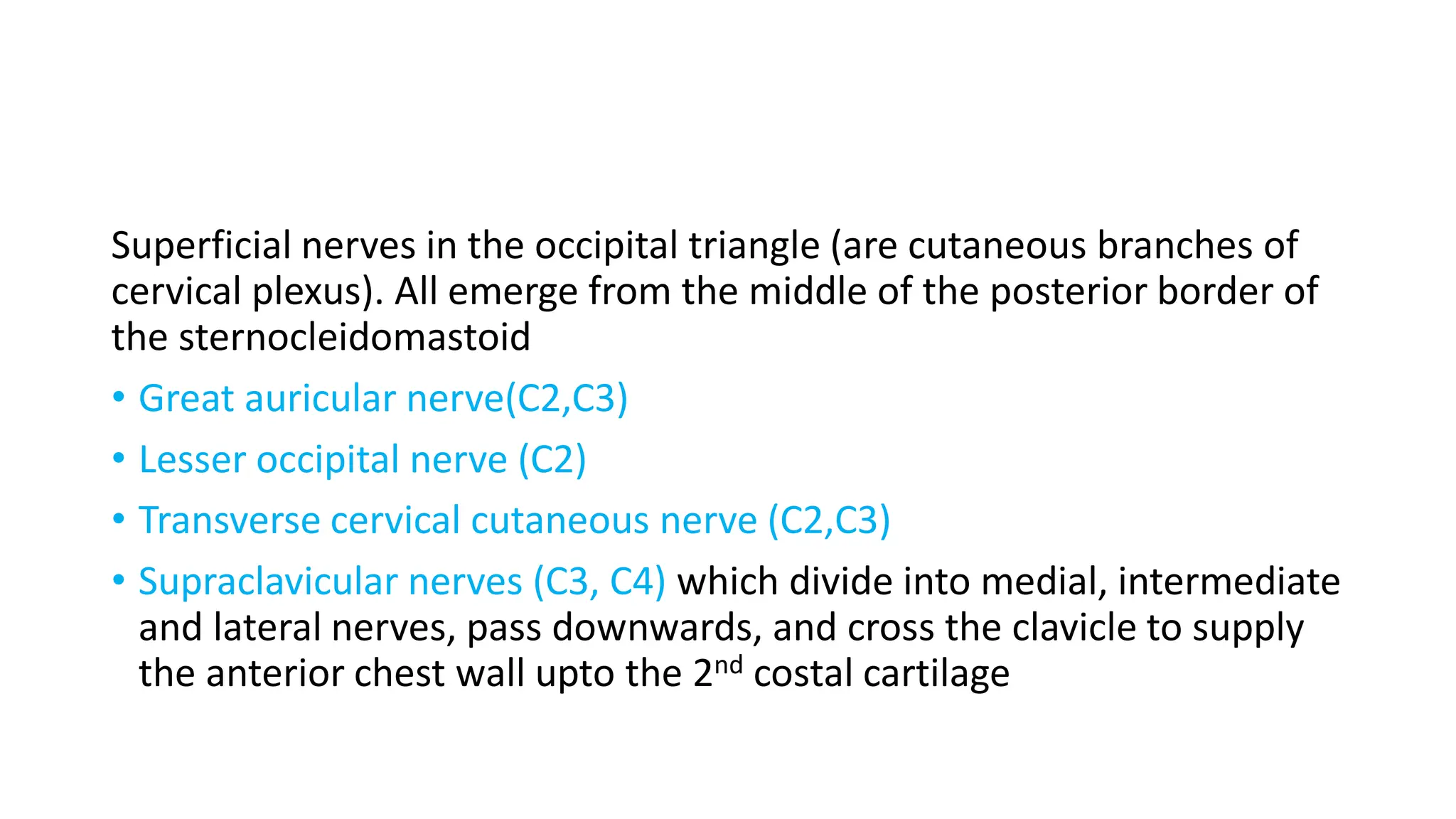 Posterior triangle (1) Dental student / general anatomy .pdf