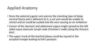 Posterior triangle (1) Dental student / general anatomy .pdf
