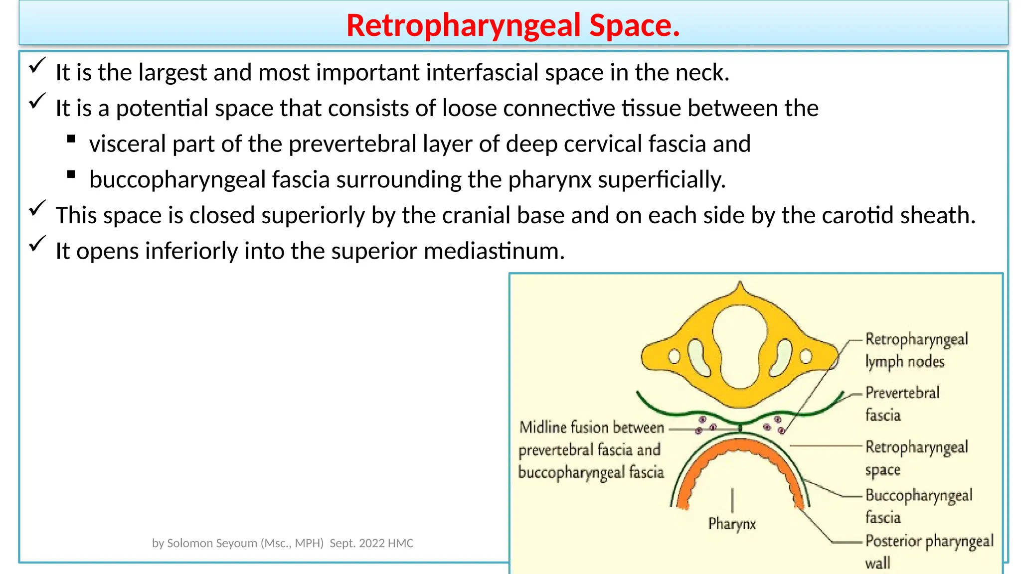 posterior_triangle_neck human anatomy.pptx