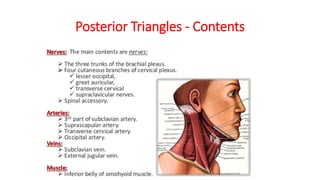 Posterior triangle of neck | PPTX