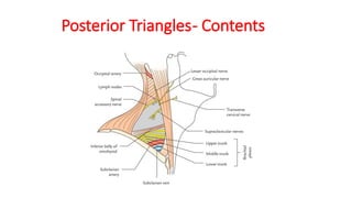 Applied Anatomy of Posterior Triangle of Neck.pptx