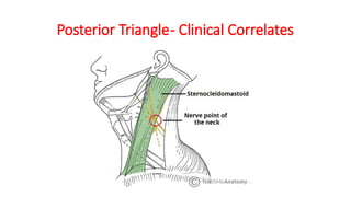 Applied Anatomy of Posterior Triangle of Neck.pptx