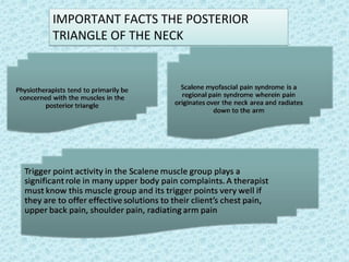 Posterior triangle of neck | PDF