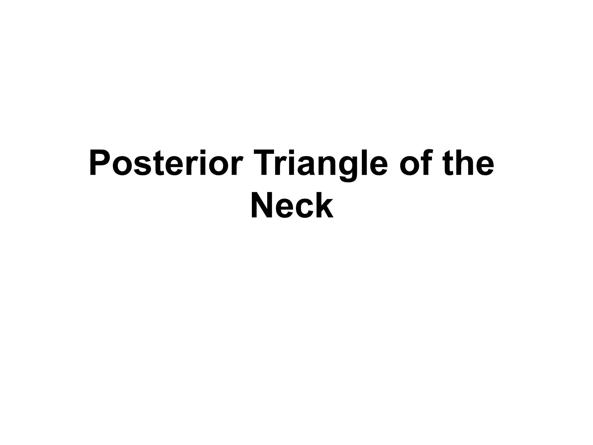 posteriortriangleoftheneck-pdf | PPT