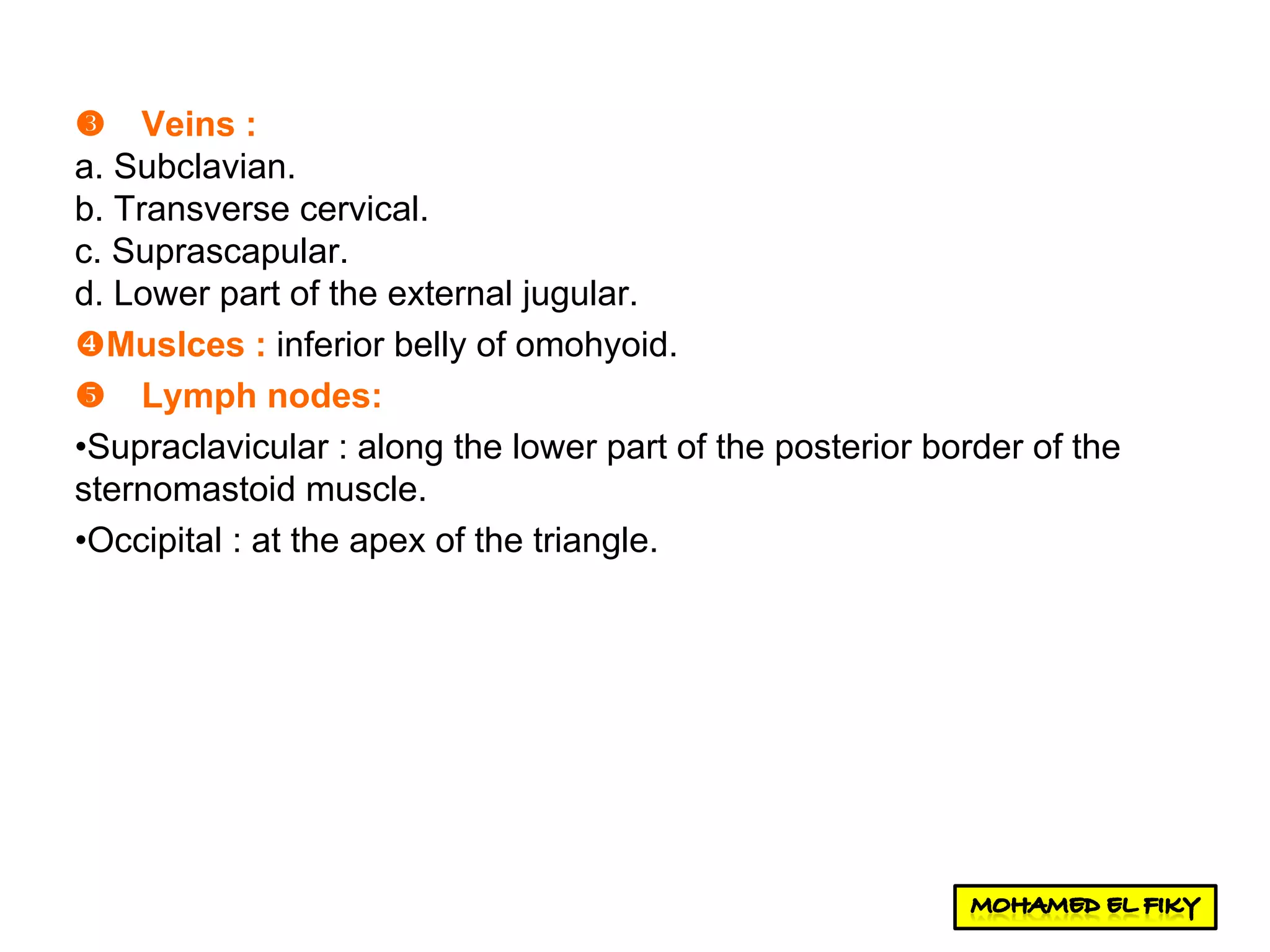 Posterior triangle of the neck | PDF