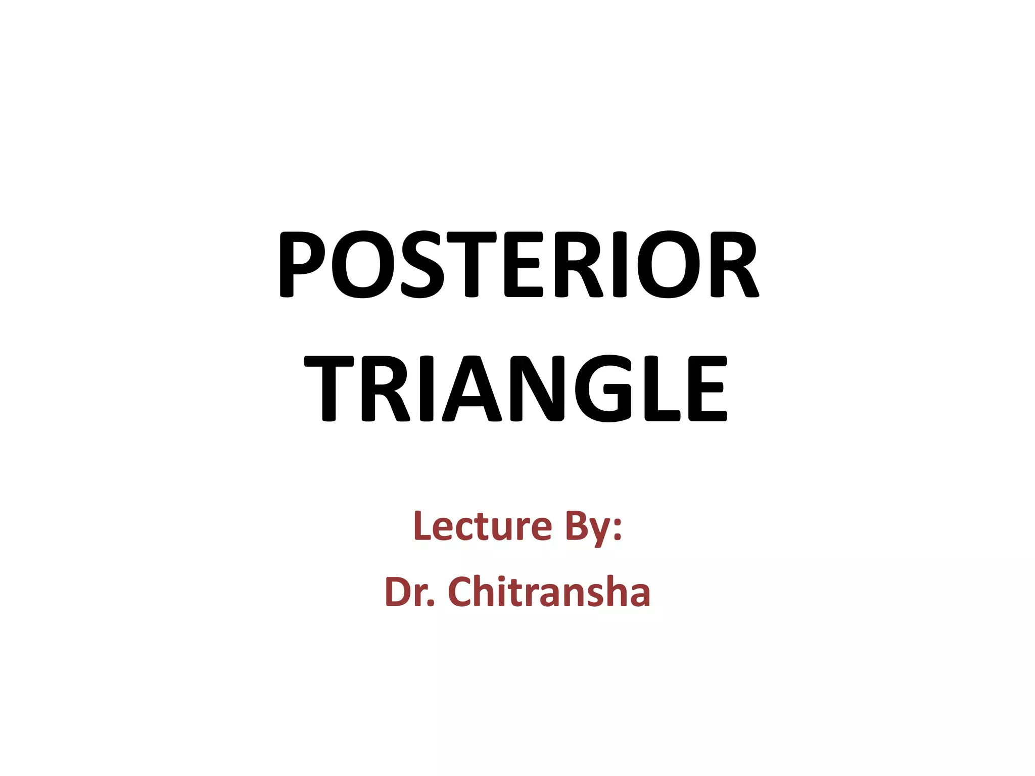 Posterior triangle | PPTX | Thyroid Disorders | Endocrine and Metabolic Diseases