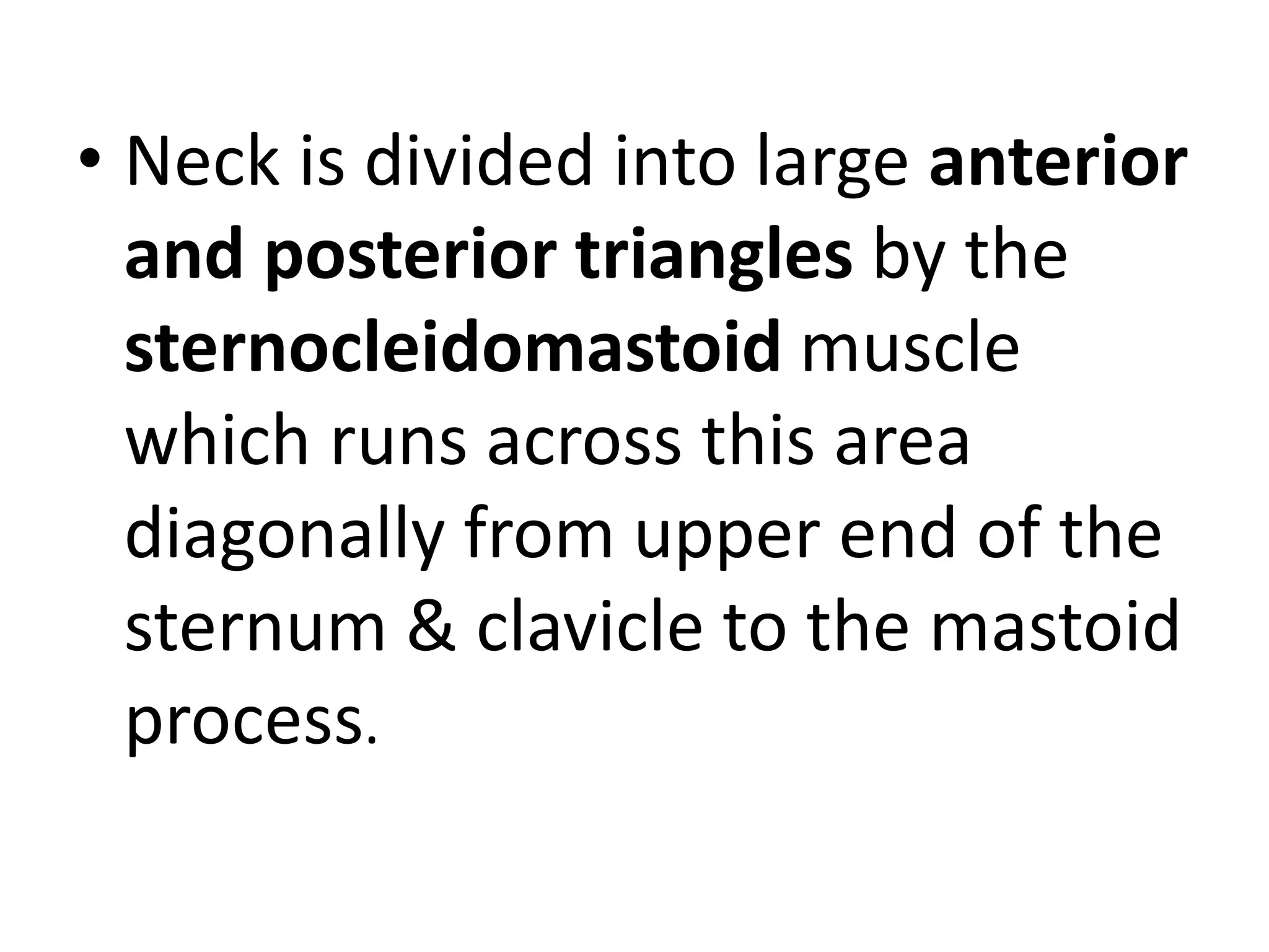 Posterior triangle | PPTX | Thyroid Disorders | Endocrine and Metabolic ...