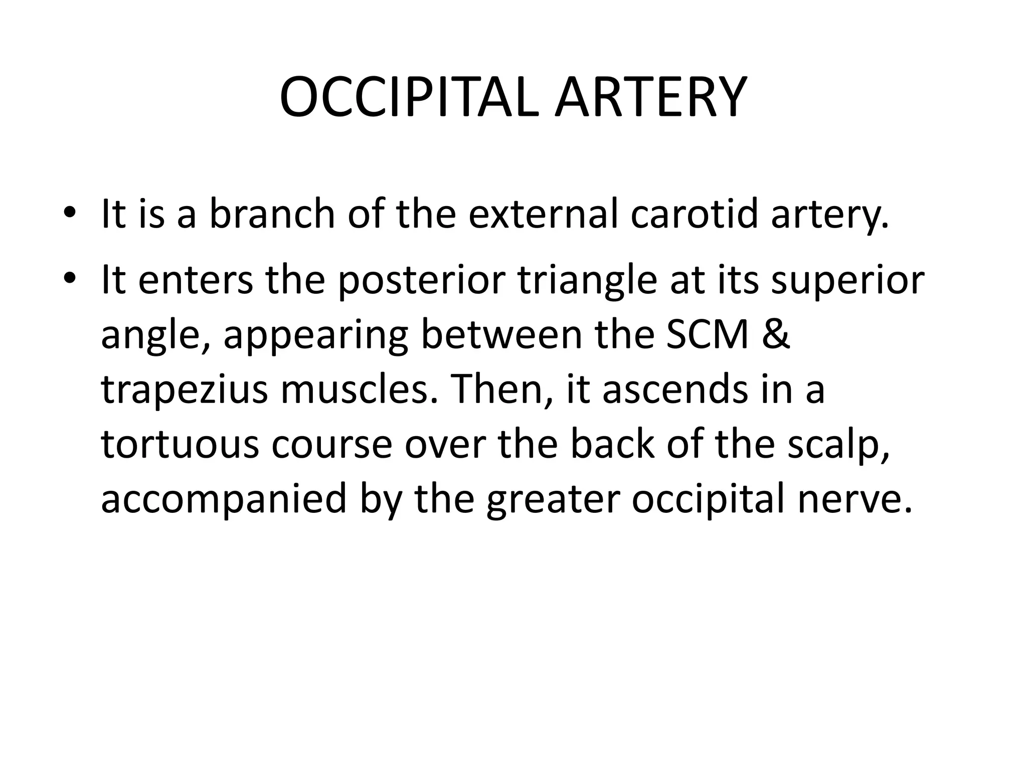 Posterior triangle | PPTX | Thyroid Disorders | Endocrine and Metabolic ...