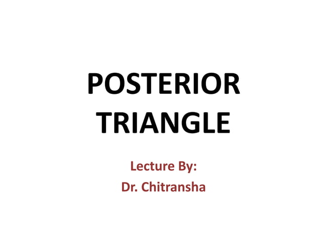 Posterior triangle | PPT
