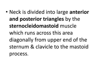 Posterior triangle | PPTX
