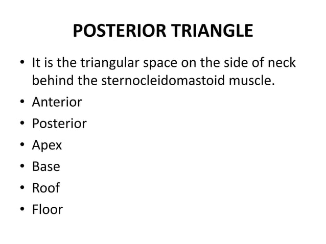 Posterior triangle | PPT