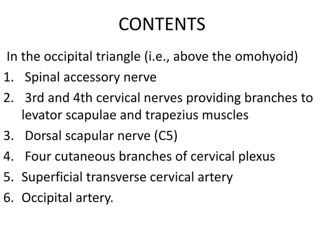 Posterior triangle | PPT