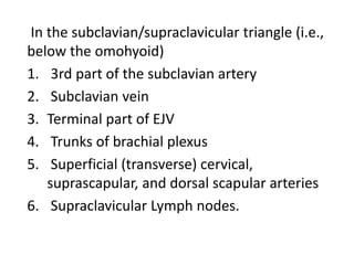 Posterior triangle | PPTX | Thyroid Disorders | Endocrine and Metabolic ...