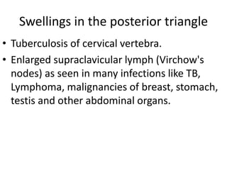 Posterior triangle | PPTX | Thyroid Disorders | Endocrine and Metabolic ...