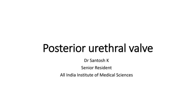 Posterior urethral valve | PPTX | Pregnancy | Reproductive Health