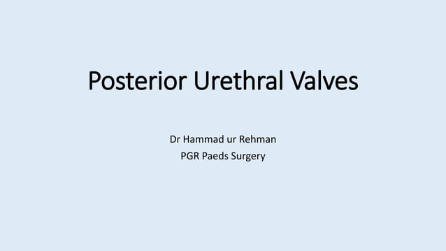 Posterior urethral valves | PPTX