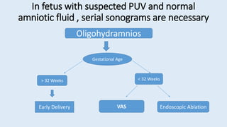 Posterior urethral valves | PPTX