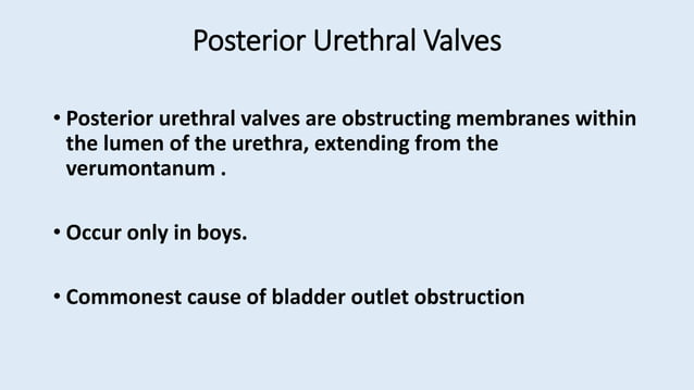 Posterior urethral valves | PPT