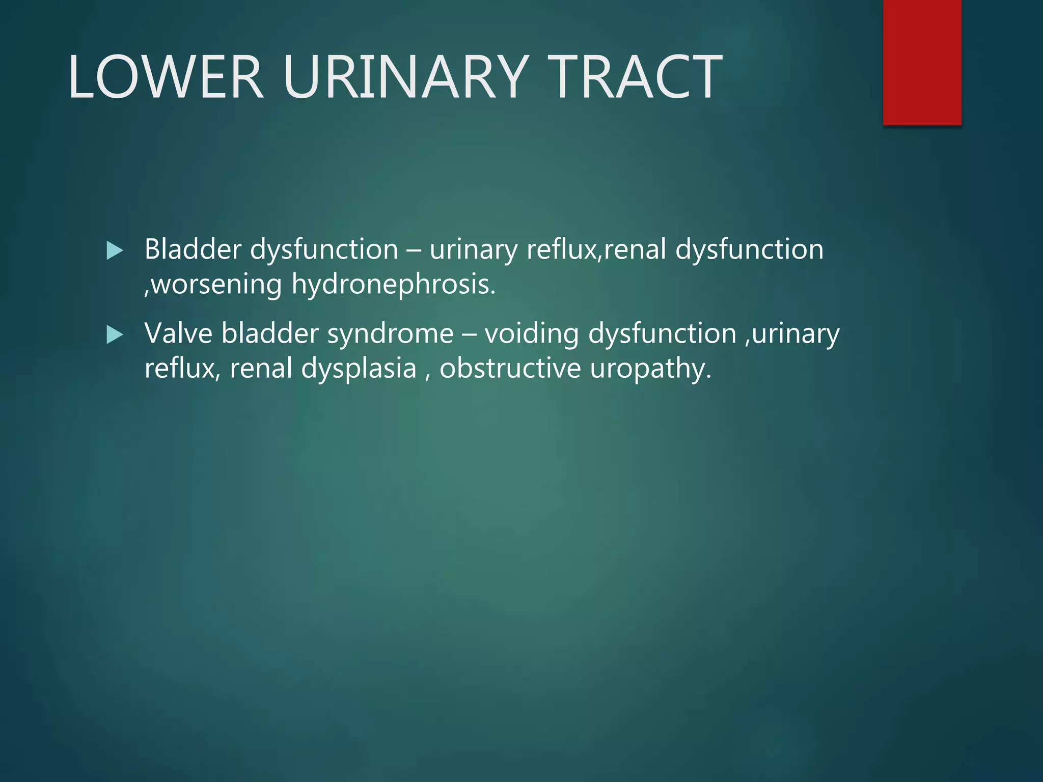 POSTERIOR URETERAL VALVES (PUV ) | PPTX