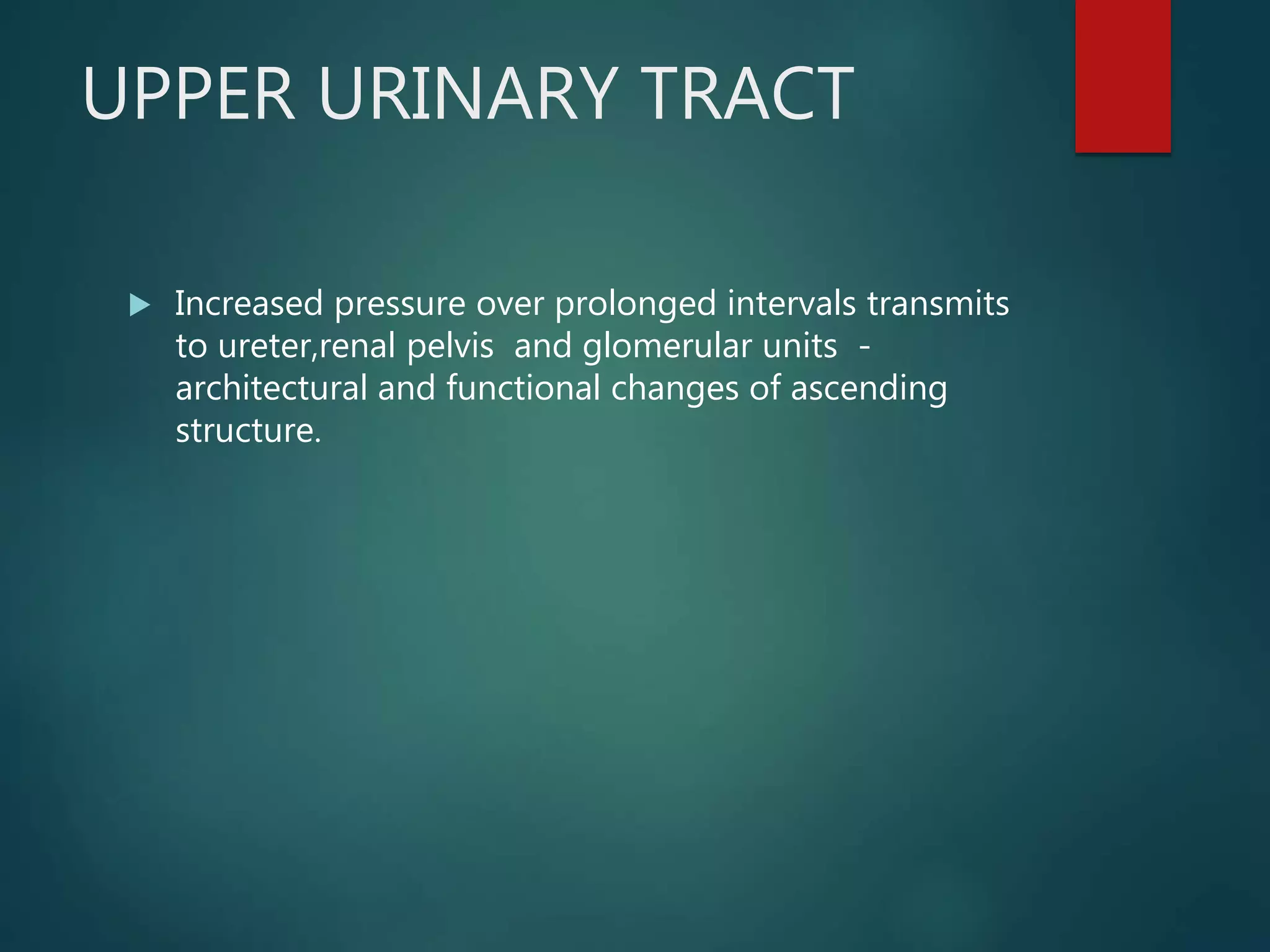 POSTERIOR URETERAL VALVES (PUV ) | PPTX