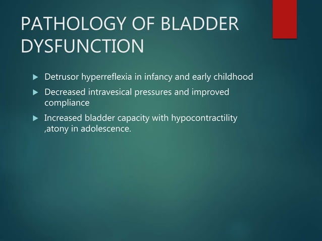 POSTERIOR URETERAL VALVES (PUV ) | PPTX