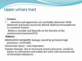 POSTERIOR URETHRAL VALVES.pptx mwero.pptx