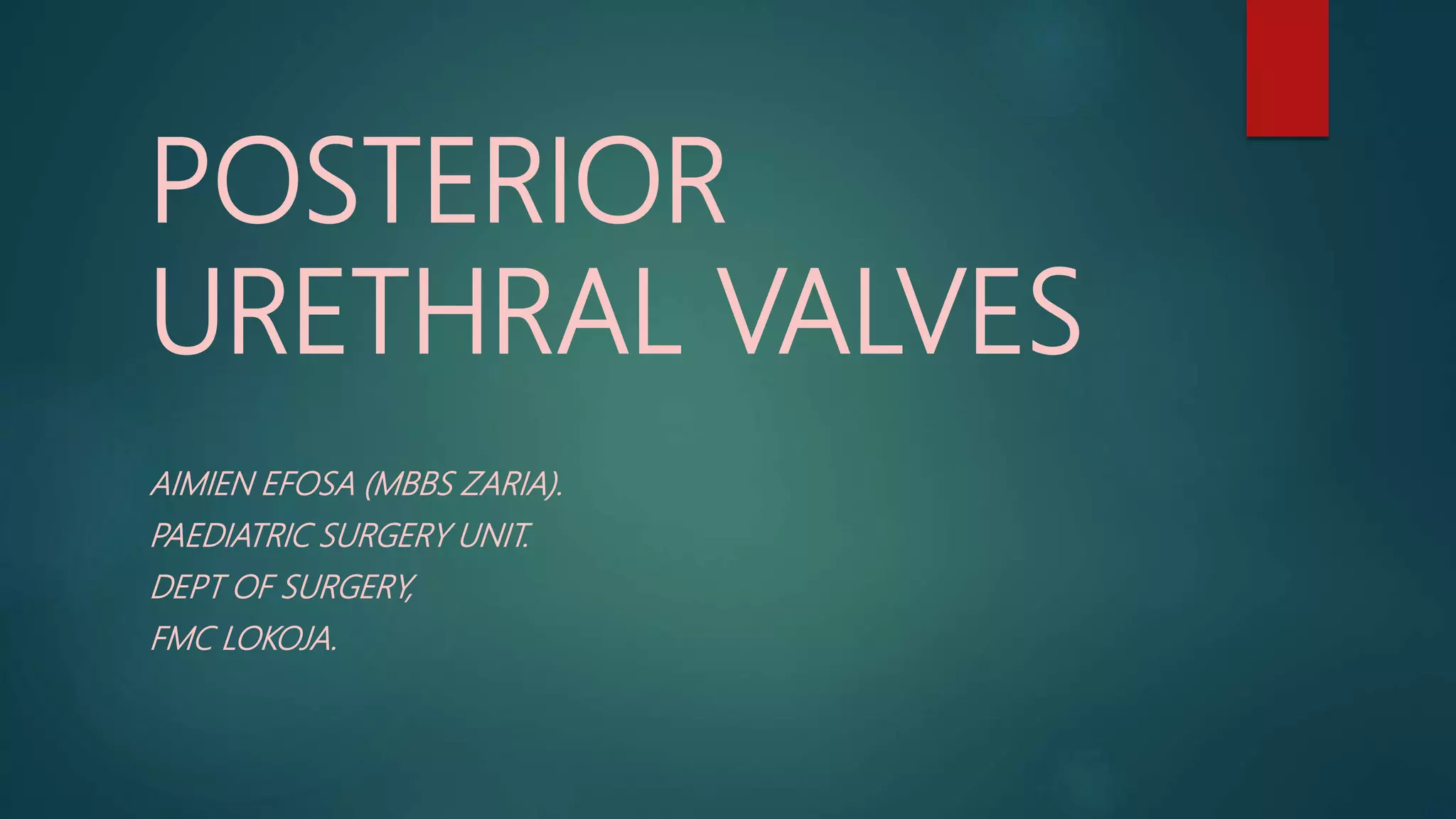 Posterior Urethral Valves | PPTX