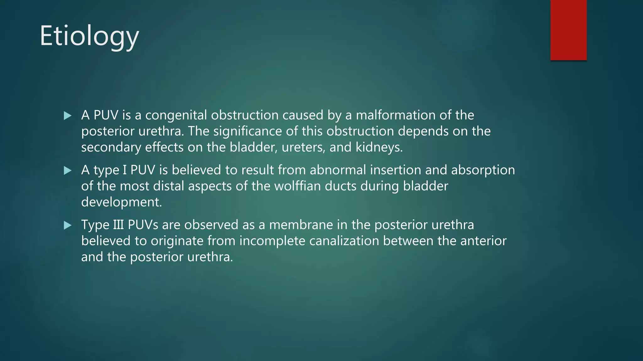 Posterior Urethral Valves | PPTX