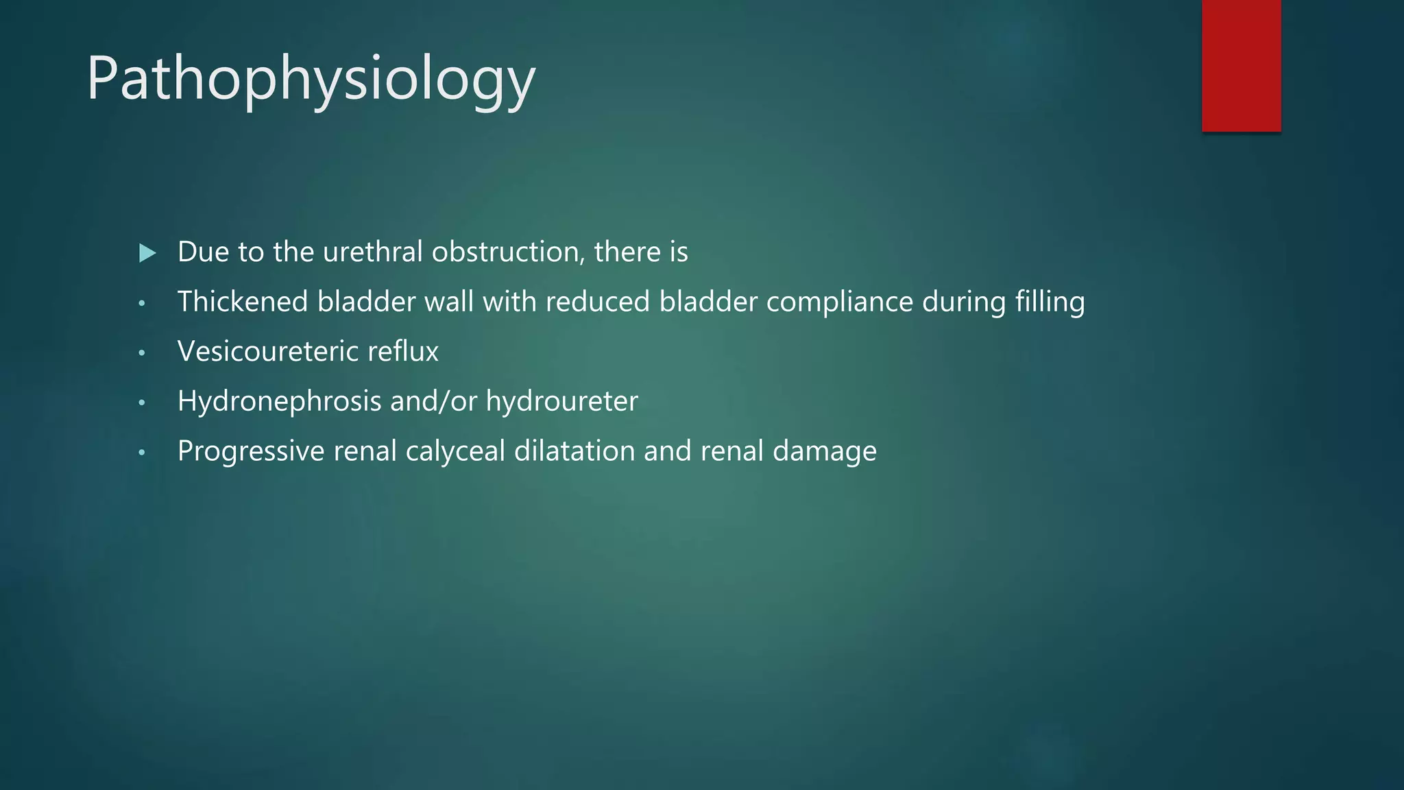 Posterior Urethral Valves | PPTX
