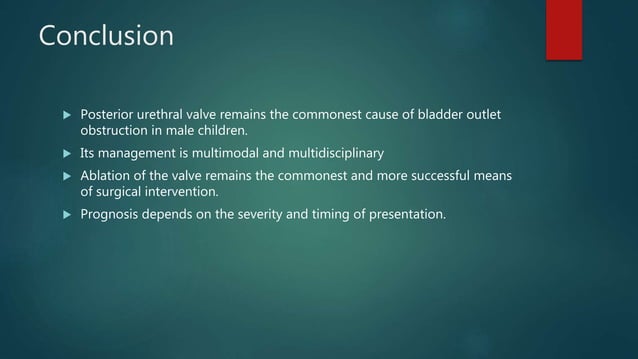 Posterior Urethral Valves | PPTX